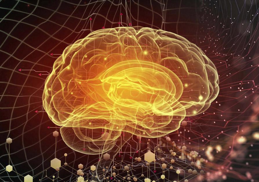 Neurology - GCP ClinPlus