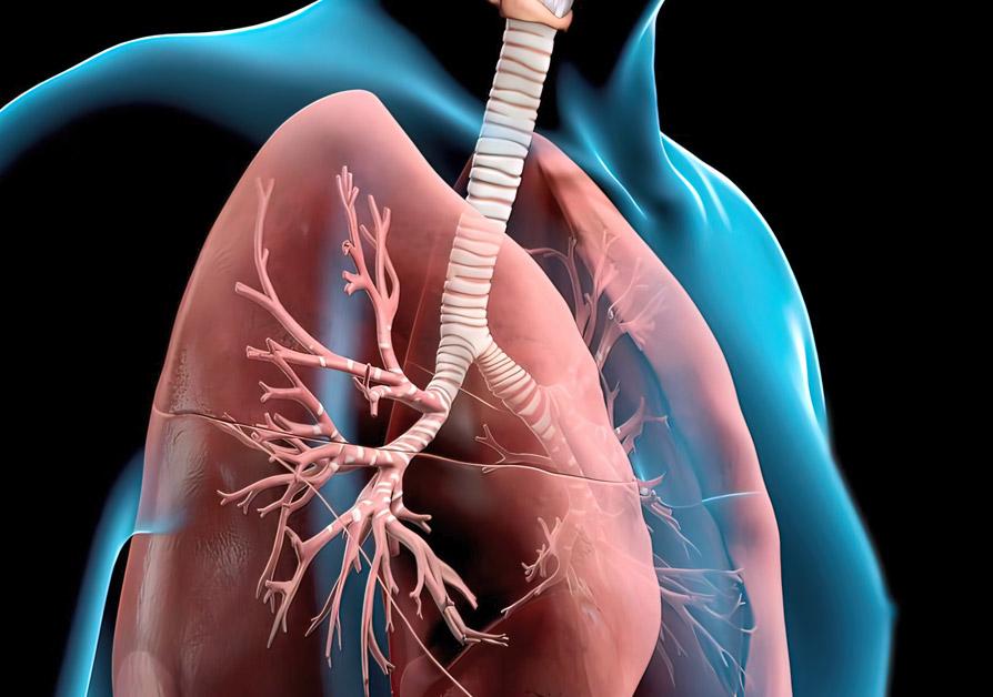 Respiratory - GCP ClinPlus